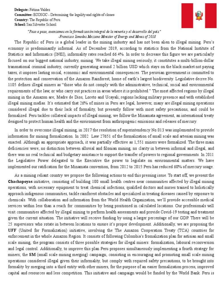 Position Paper Peru Ecosoc | PDF | Mining | Peru