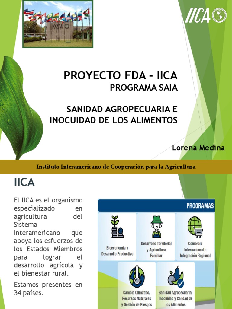 G1P1 Curso Norma Psa | PDF