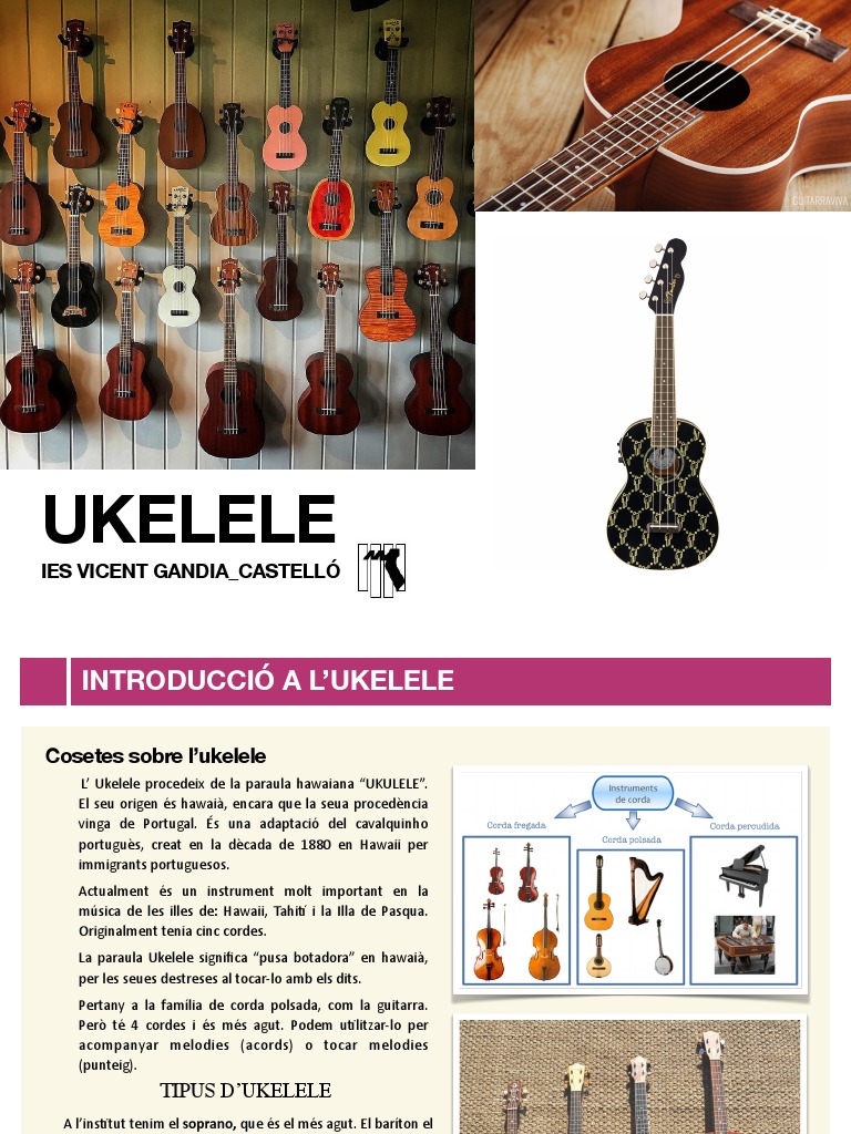 2022 Dossier Ukelele | PDF