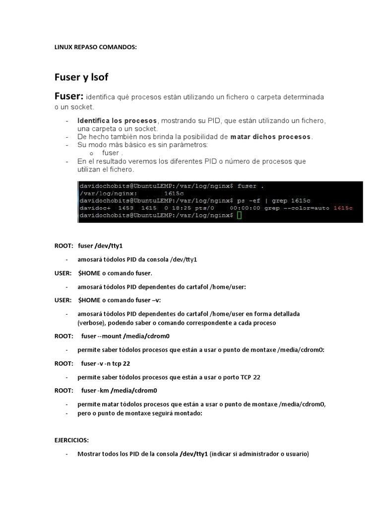 EJERC Linux Repaso Comandos | PDF | Recuperación de información | Hardware de la computadora