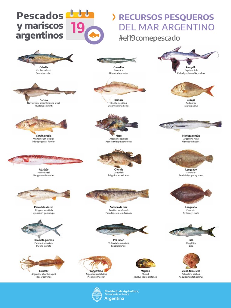 AFICHE.A3 - Recursos Pesqueros (Mar Argentino) | PDF | Pescado