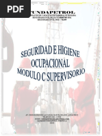 Ley 618 - Higiene y Seguridad Laboral | PDF | Seguridad y salud ocupacional