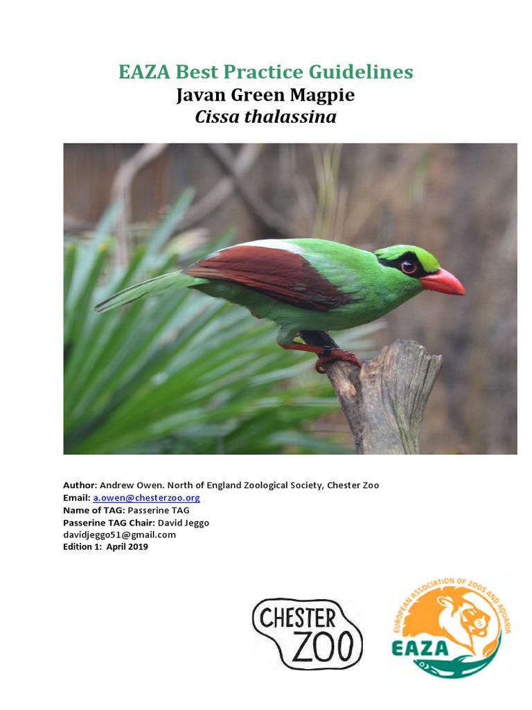 Cissa Thalassina Javan Green Magpie EAZA | PDF | Habitat Destruction | Zoo