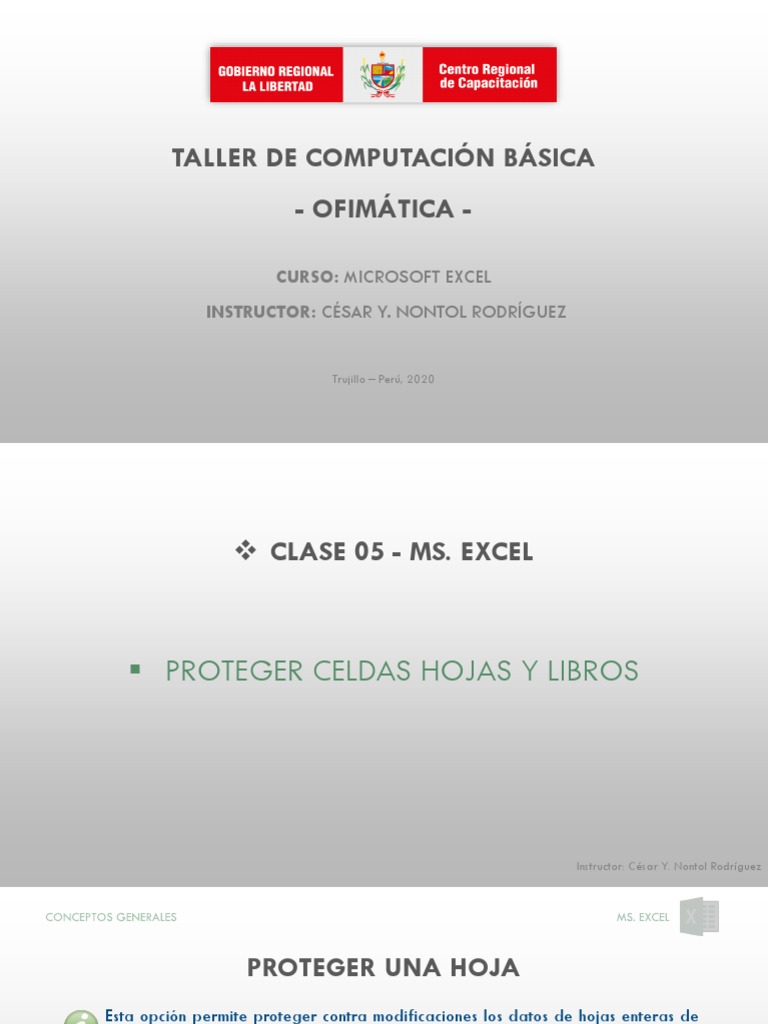 Proteger Celdas, Hojas y Libro | PDF | Microsoft Excel | Ingeniería de software