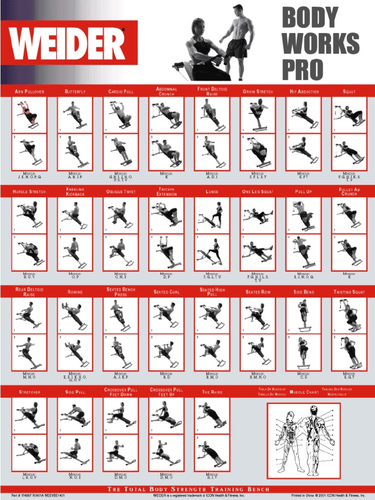 Weider Ultimate Body Works Exercises Chart | PDF