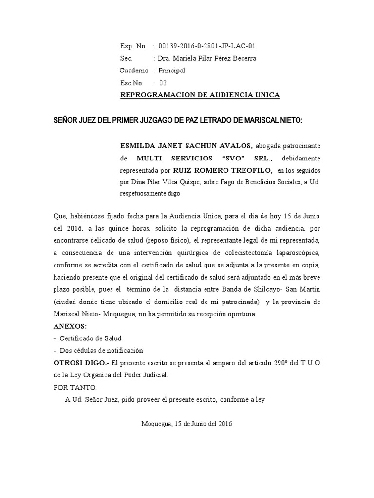 Reprogramación de Audiencia Única | PDF