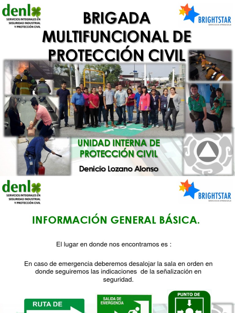 Brigada Multifuncional Brightstar | Descargar gratis PDF | Quemar | Reanimación cardiopulmonar