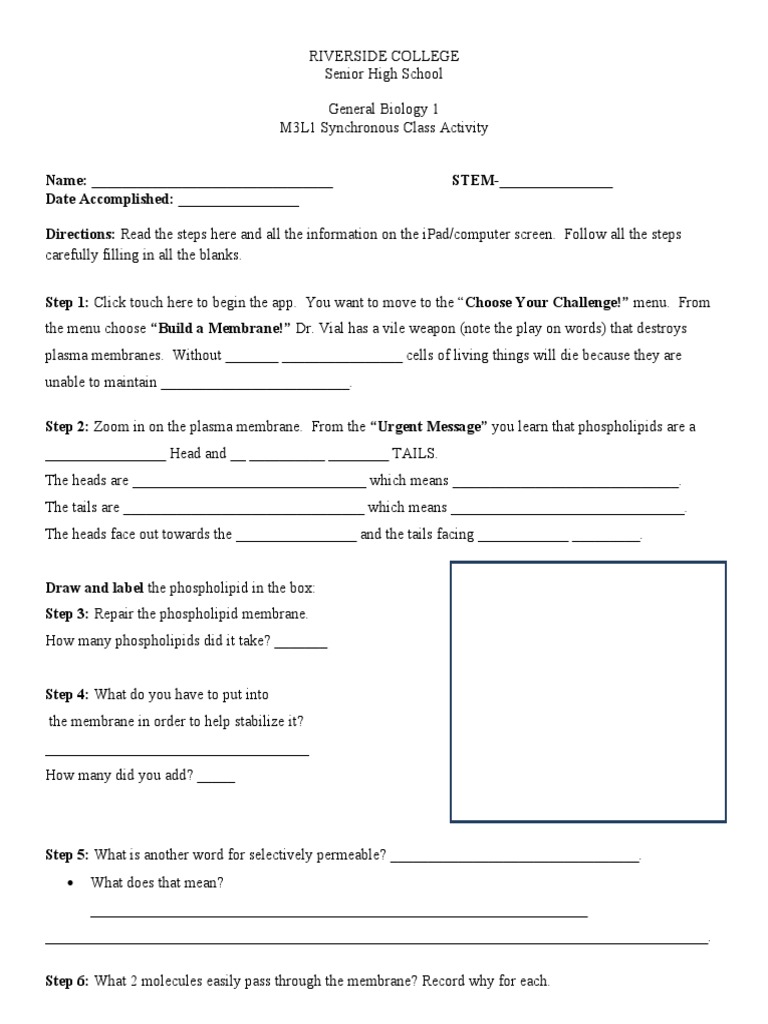 M3L1 Enrichment Activity Cell Defense Worksheet | PDF | Cell Membrane ...