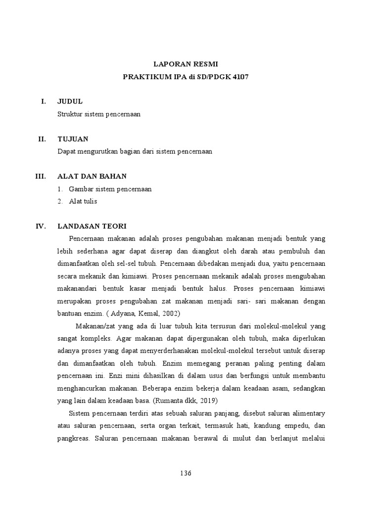 LKP Sistem Pencernaan | PDF