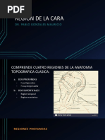 Anatomía de las Regiones Faciales | PDF | Anatomía humana | Anatomía
