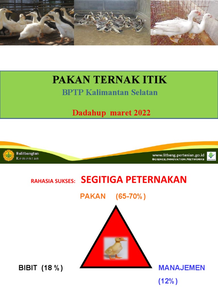 Pembuatan Pakan Itik 1 | PDF