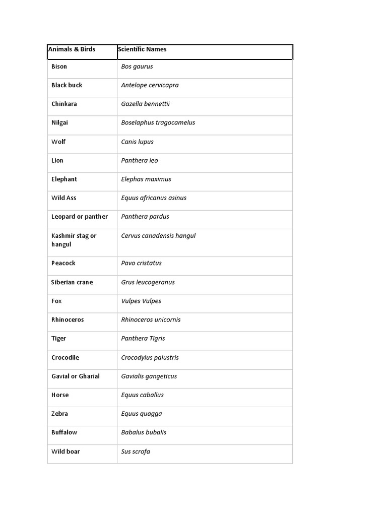 Animals Scientific Name | PDF