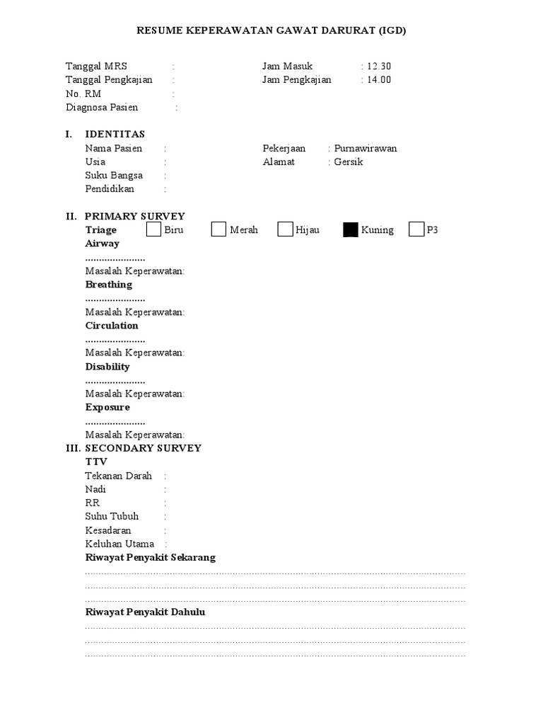 Format Resume Igd | PDF