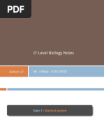 Balance Error Scoring System (BESS) PDF | PDF | Balance (Ability) | Foot