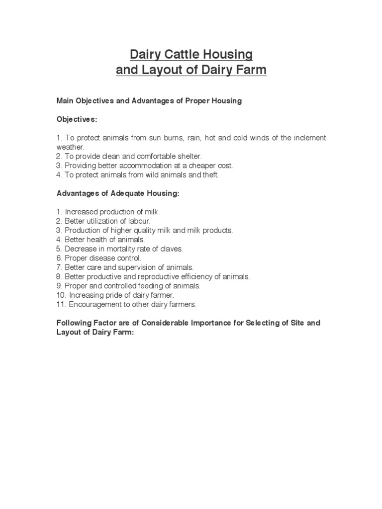 Dairy Cattle Plan & Layout - PDF | PDF | Dairy Farming | Dairy