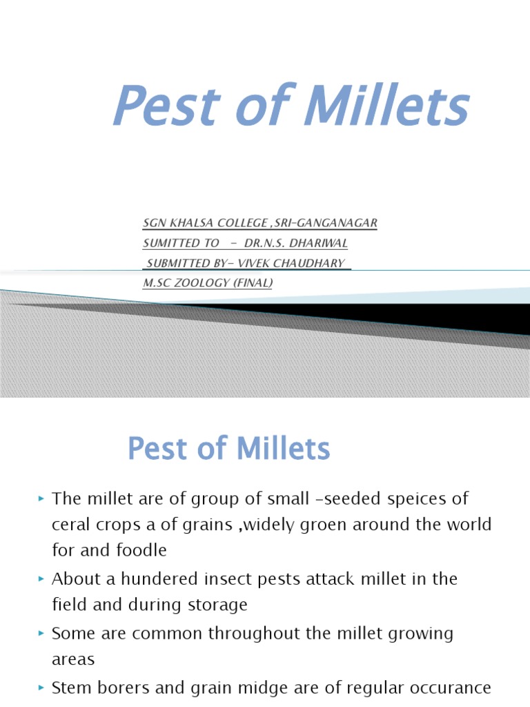 Pest of millets | PDF | Agriculture | Plants