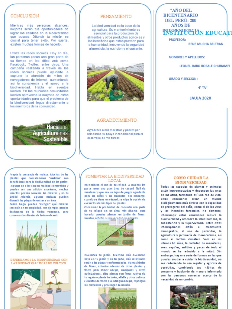 Triptico | PDF | Biodiversidad | Agricultura