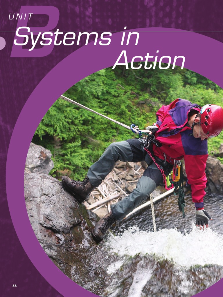 Systems in Action | PDF | Weight | Weighing Scale