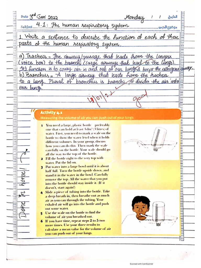 Cambridge Checkpoint Science Coursebook 8 Answers (CH 4 and CH 9) | PDF