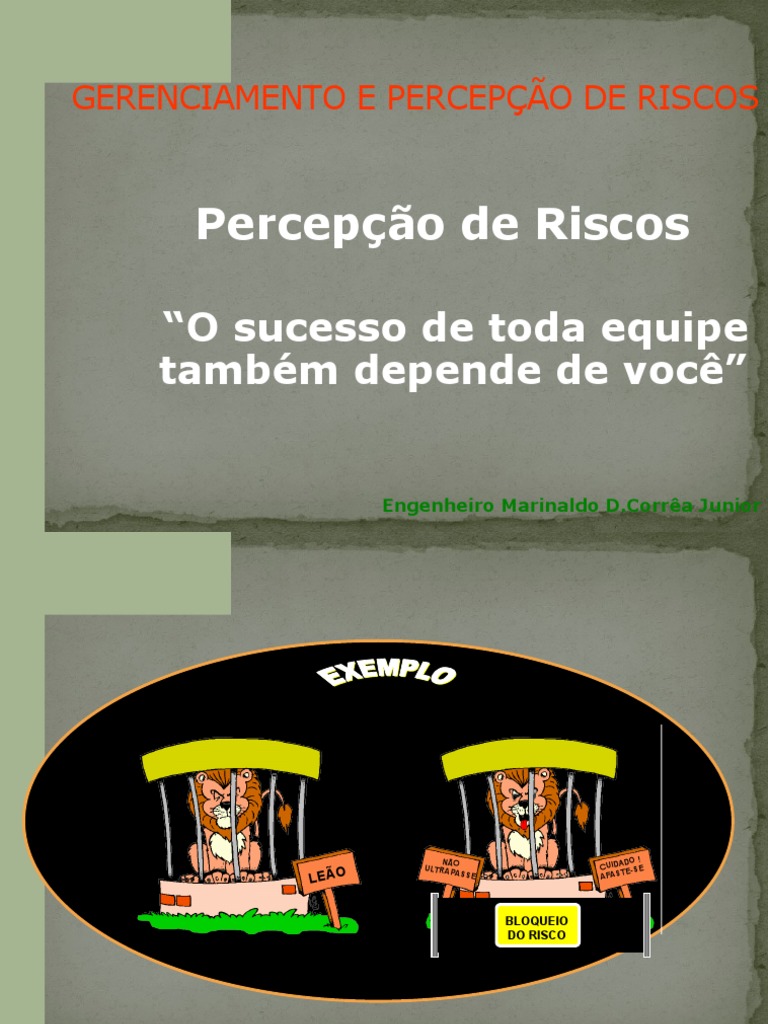 Gerenciamento de riscos e desenvolvimento da percepção de riscos no ...