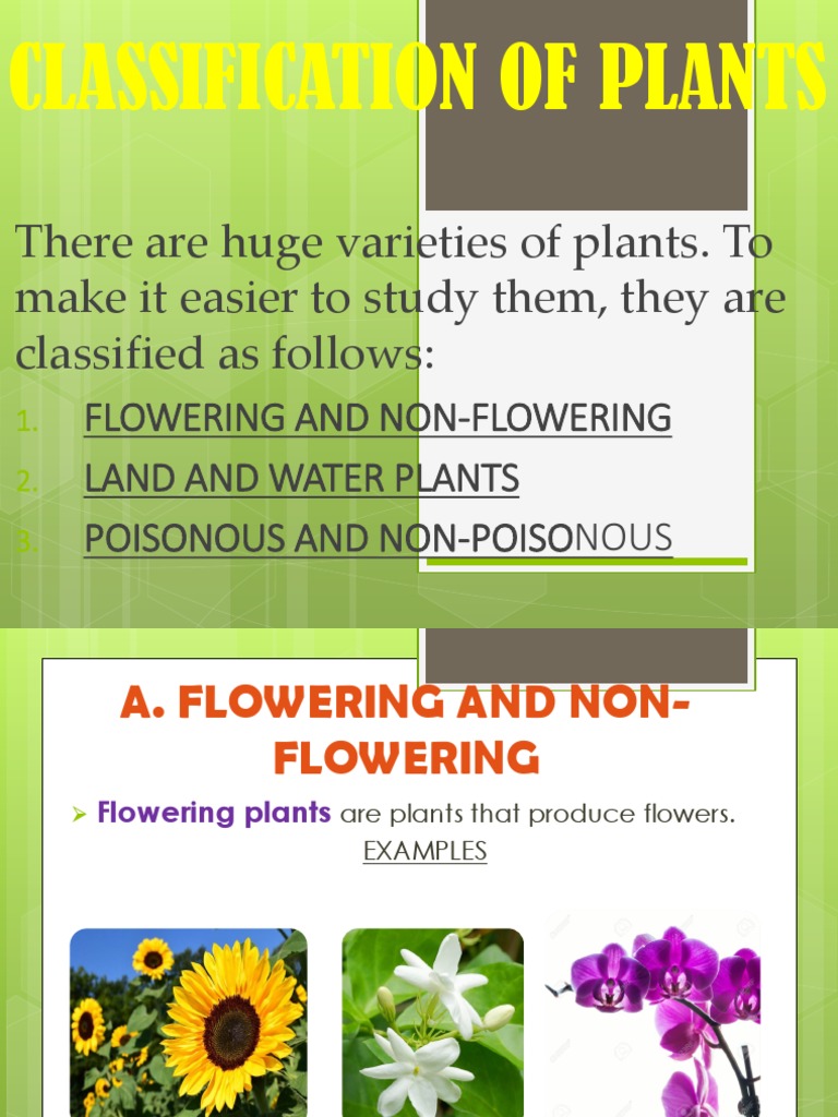 Classification of Plants | PDF | Plants | Flowers