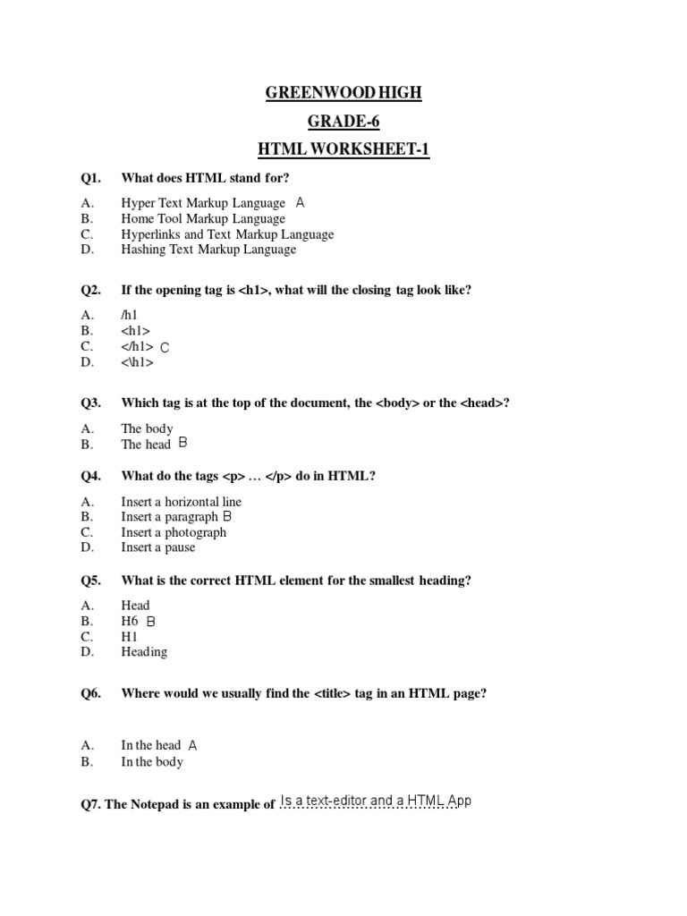 Grade 6 HTML Worksheet with Answers | PDF | Art | Computers