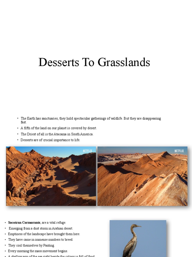 Desserts To Grasslands | PDF | Desert | Grassland