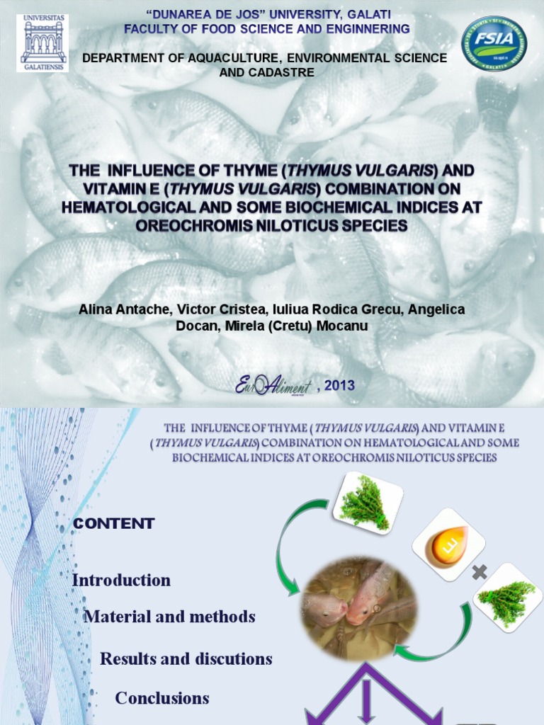 Alina Antache, Victor Cristea, Iuliua Rodica Grecu, Angelica Docan ...