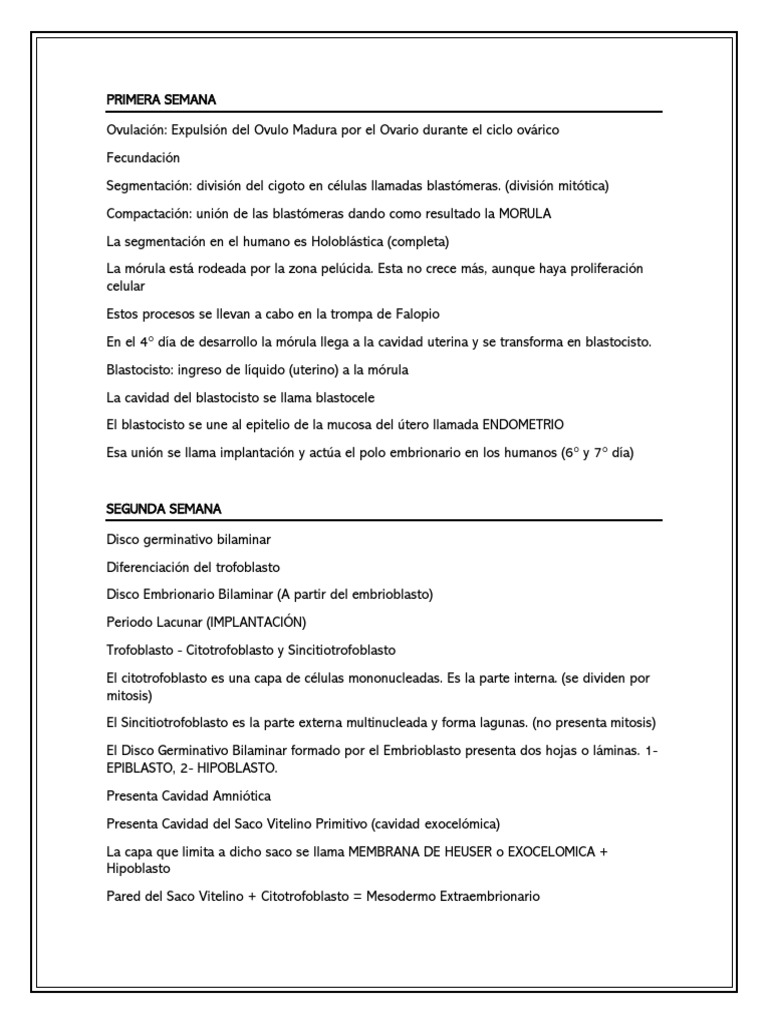 Clase Práctica 1 - Formación de Las Tres Capas Germinales | PDF ...