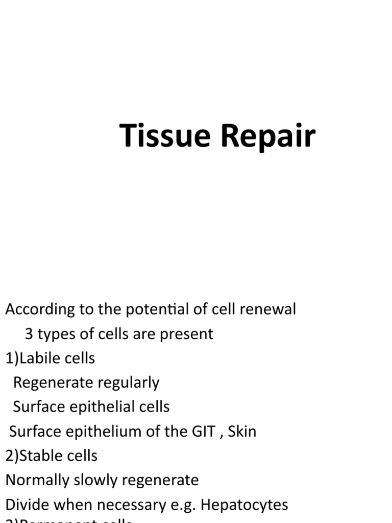 Tissue Repair | PDF | Wound Healing | Angiogenesis