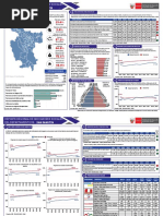 Formato 6A Ficha Tecnica General Simplificada | PDF