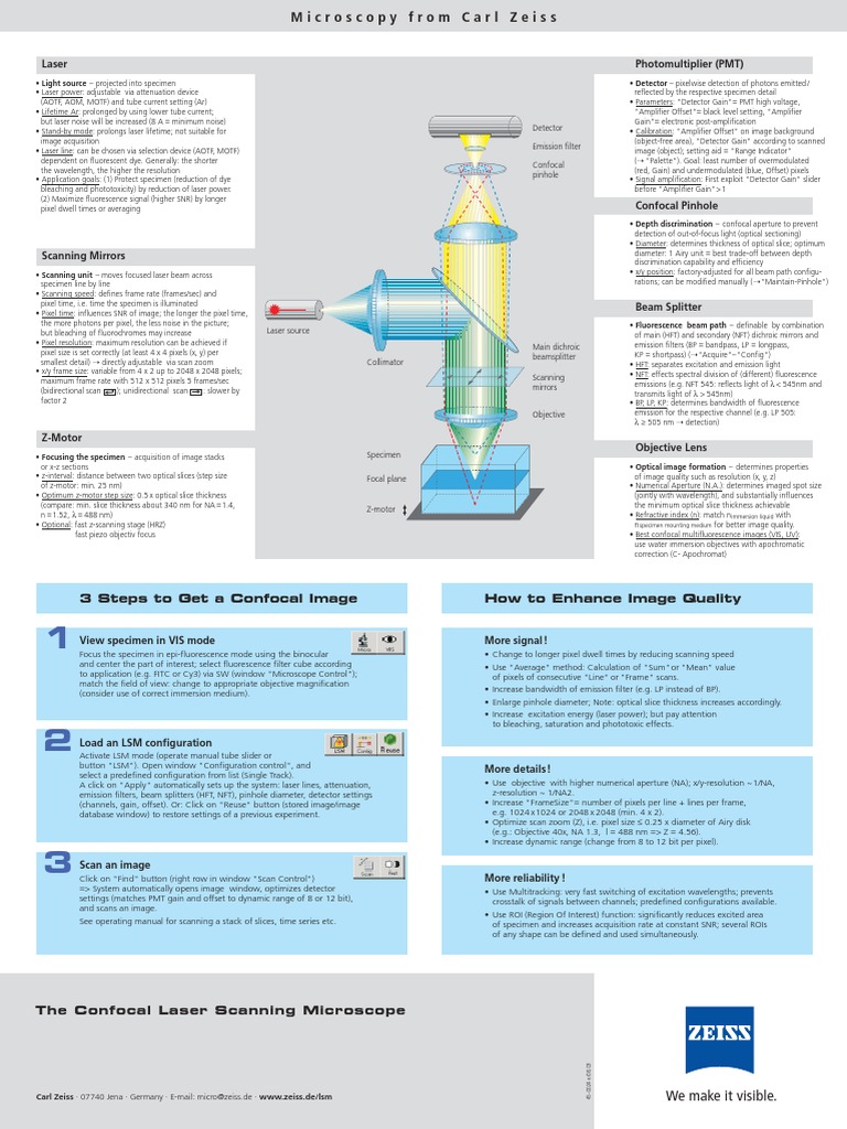 Poster Confocal Zeiss | PDF