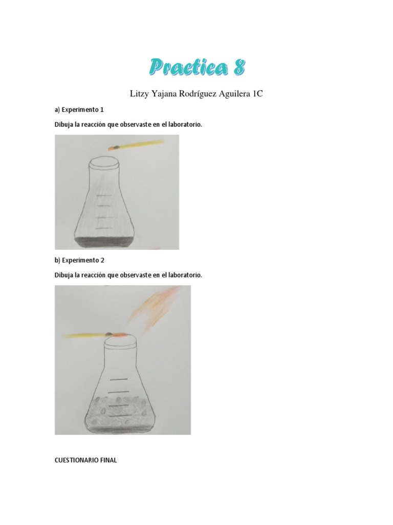 Litzy Rodriguez - 1C - Practica 8 Quimica | PDF