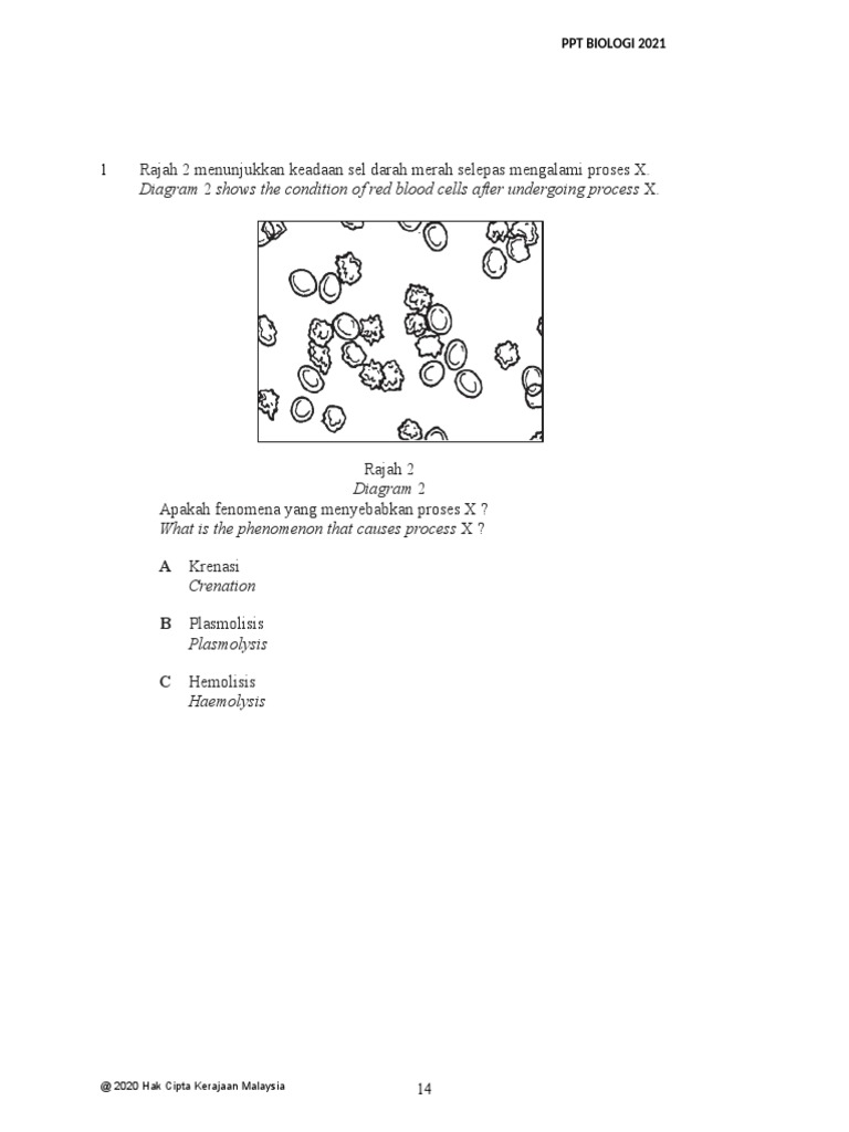Buku Format SPM 2021 4551 Biologi | PDF