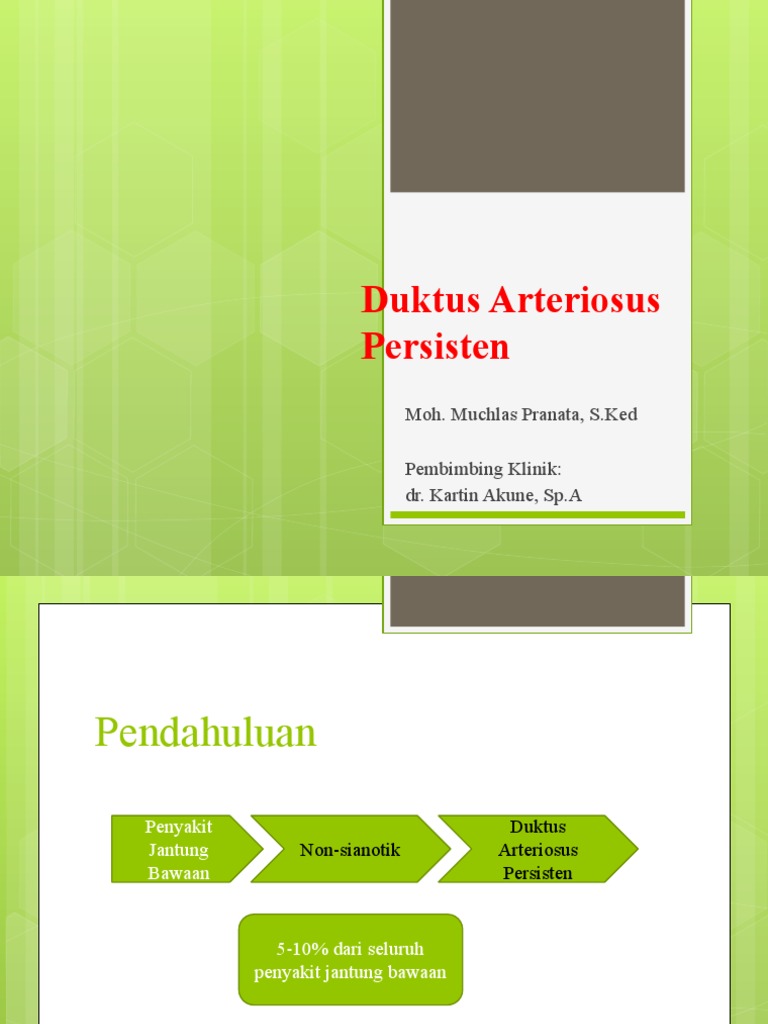 Duktus Arteriosus Persisten pada Bayi | PDF