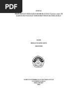 WALC 8 Word Findingml | PDF