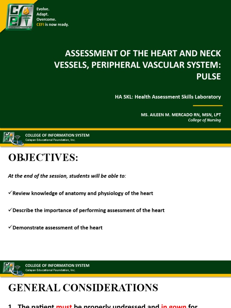 Assessment Of The Heart Neck Vessels Peripheral Vessels Pulse