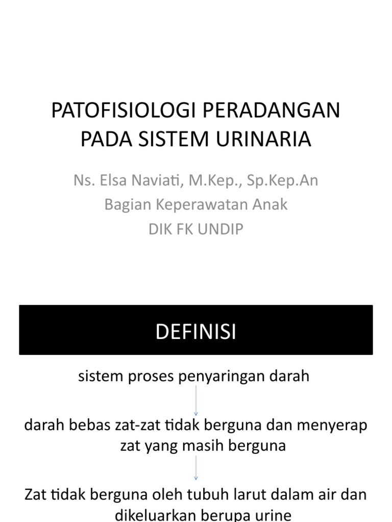 Patofisiologi Peradangan Pada Sistem Urinari | PDF