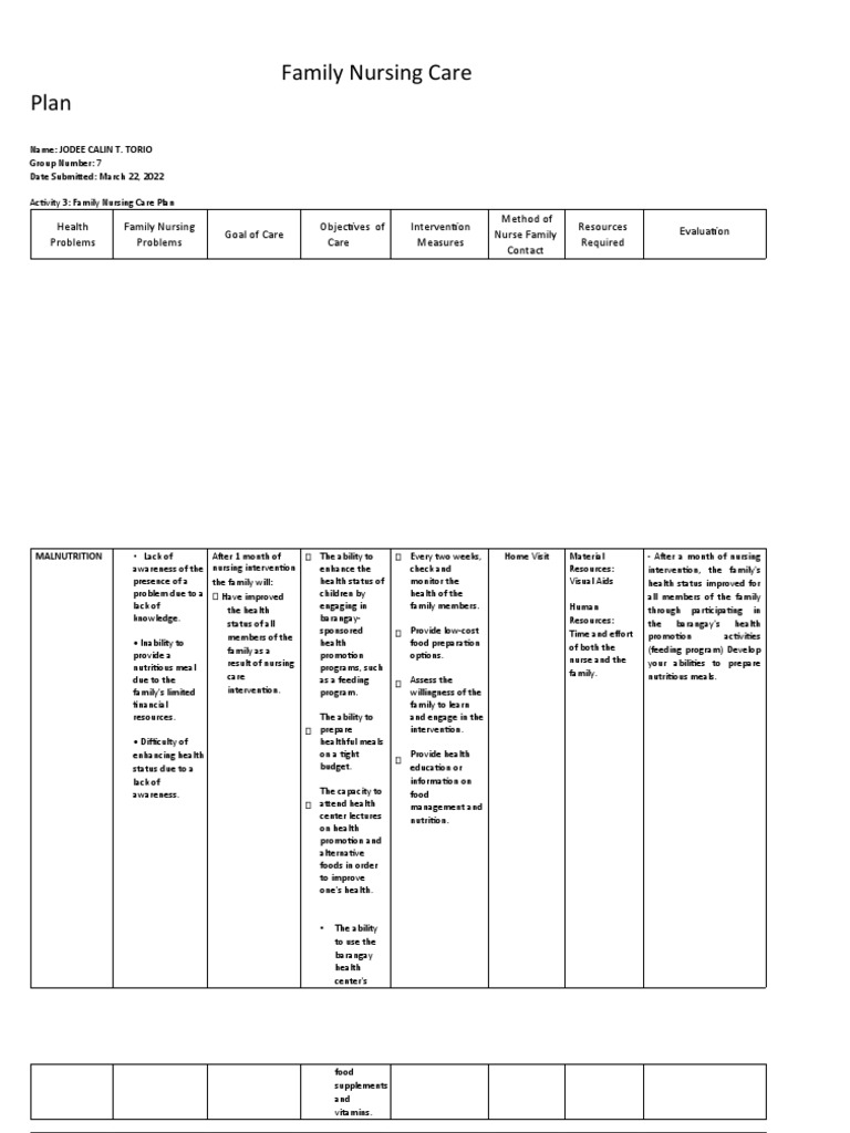 Family Nursing Care Plan | PDF | Nursing | Foods