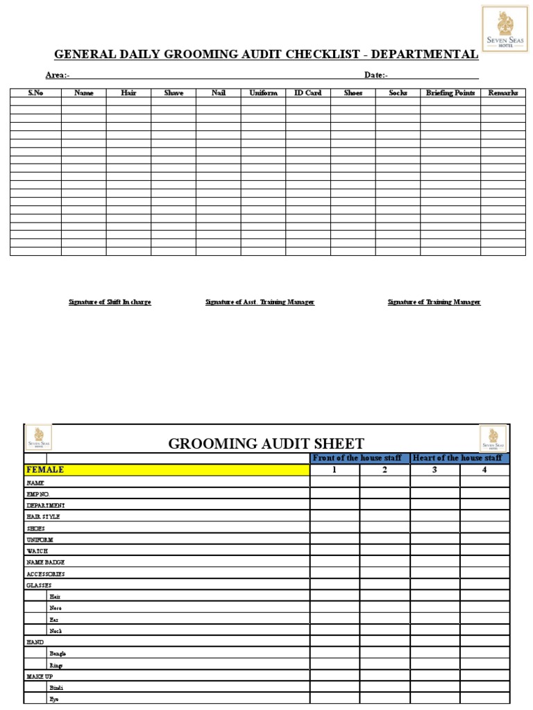 Audit Checklist - Seven Seas | PDF
