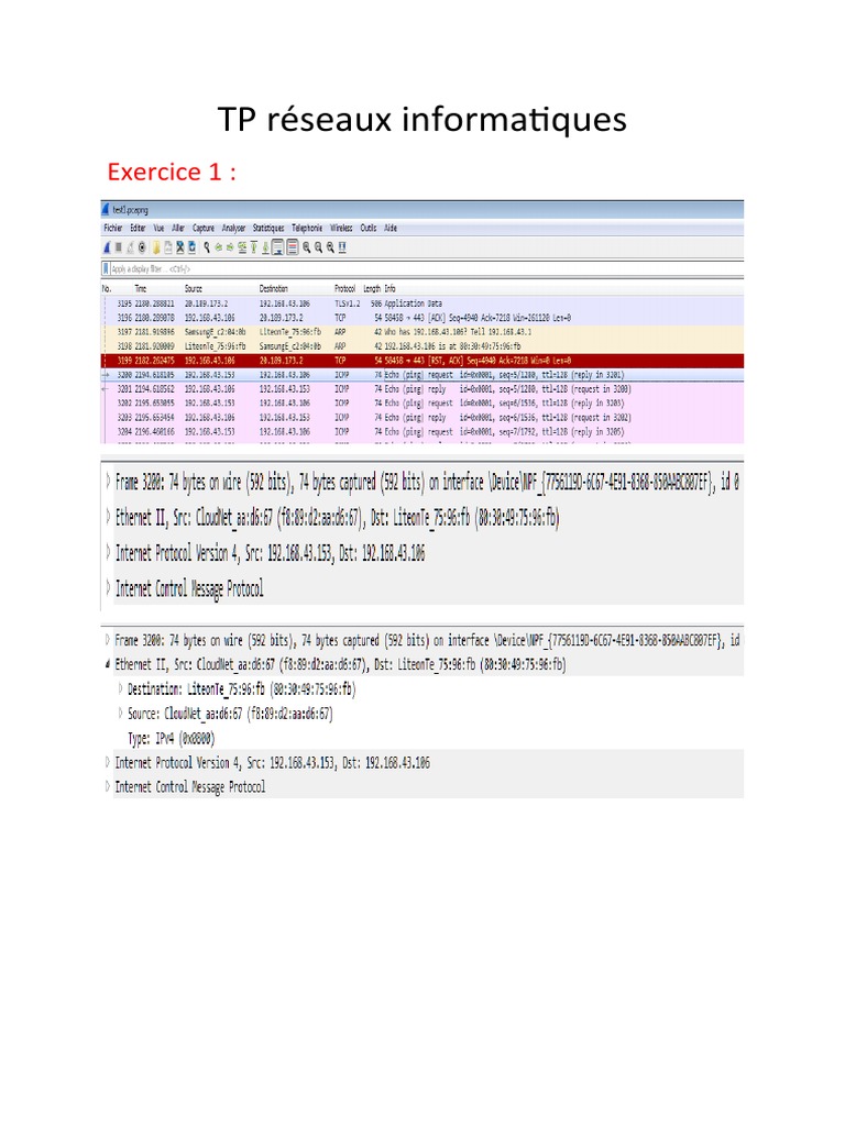 TP Réseaux Informatiques | PDF
