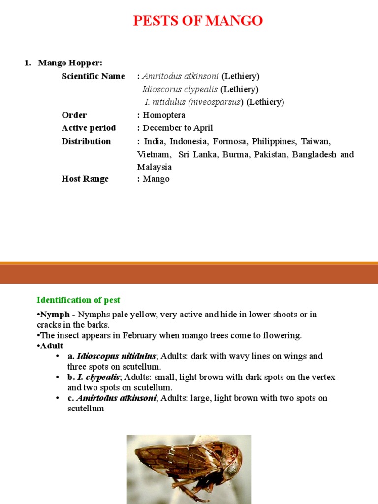 Pest and Disease Management in Horticulture Crops-1 | PDF | Plants | Botany