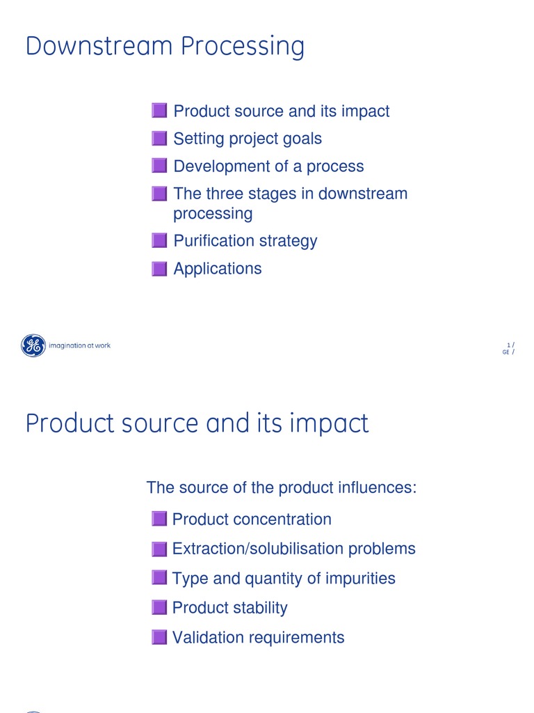 02 Downstream Process | PDF | Protein Purification | Chromatography