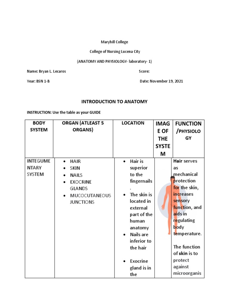 Anatomy and Physiology Lab Report: An Introduction to the Integumentary ...