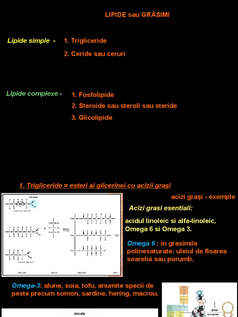 Lipide | PDF