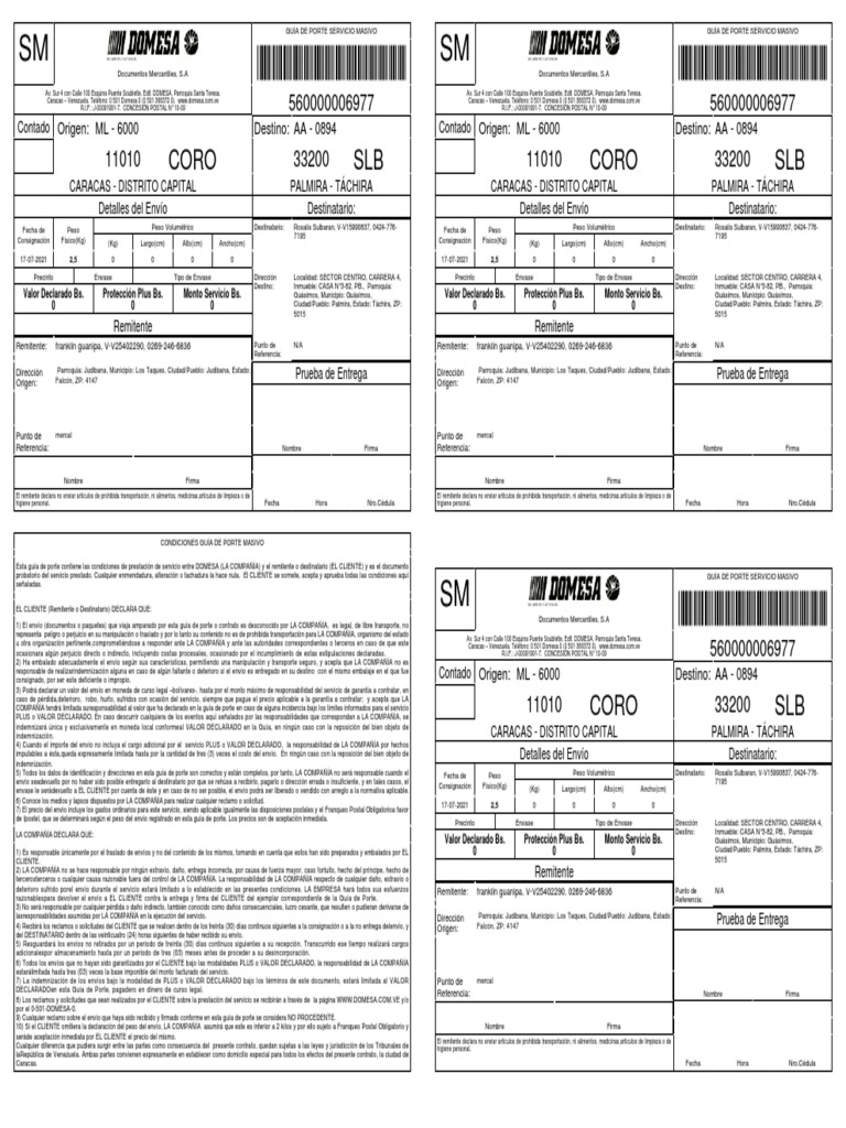 Domesa Envio | PDF