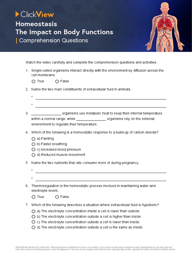 Comprehension Questions Homeostasis The Impact in Body Functions | PDF ...