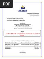 Contrôle Permanent CCPP V2 | PDF | Contrôle interne | Banques