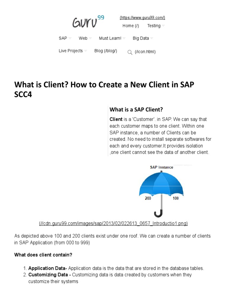 05 What Is Client - How To Create A New Client in SAP SCC4 | PDF ...