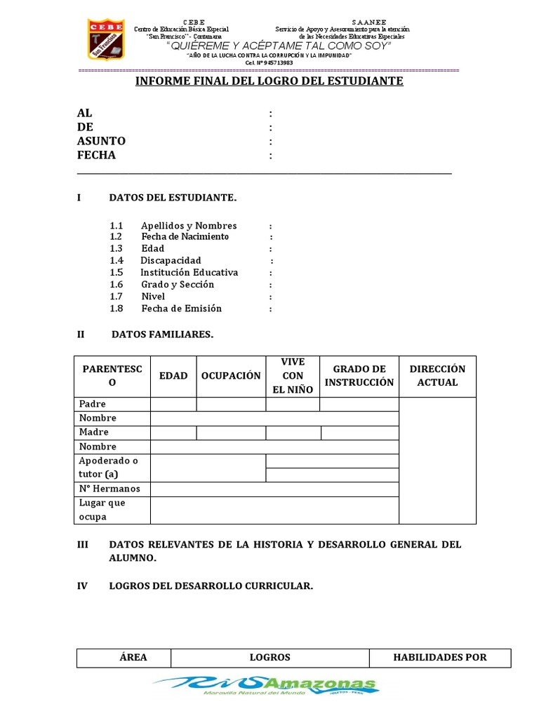 Informe Fin de Año Docente Inicial | PDF | Aprendizaje